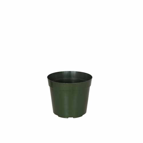 Rockdale Poli Pot Dia: 15cm x H: 11.5cm Green