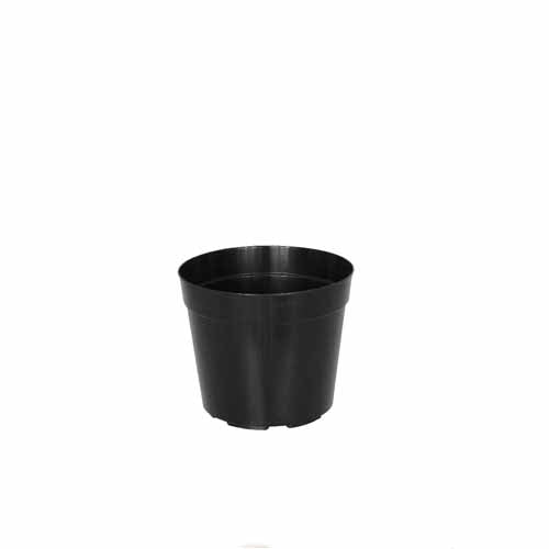 Rockdale Poli Pot Dia: 20cm x H: 16cm Black