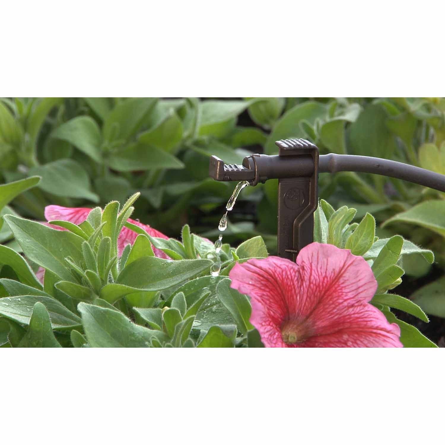 Neta Midi Drip Emitter On Stake 4Lph Black